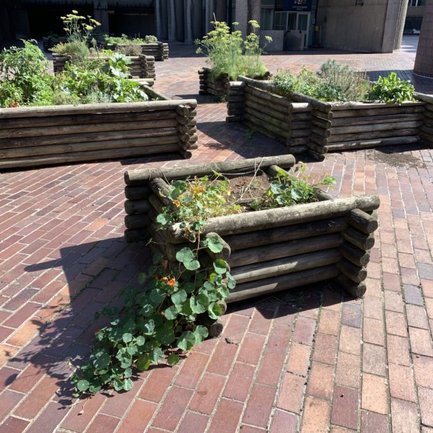 Flowers in tubs in the Barbican Estate | BARBICAN LIVING